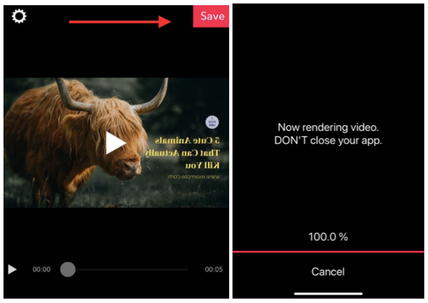 How To Flip Mirror A Video In Under 5 Mins 5 Easy Ways That Work In 2023