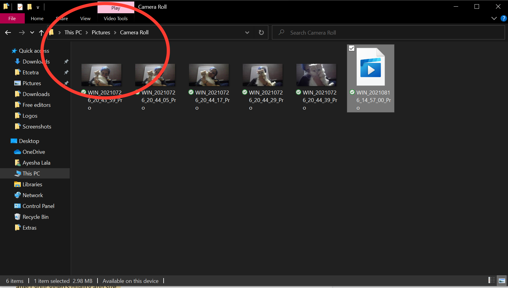 Offrire Domestico Accurato Screen Recorder App For Pc Addormentato