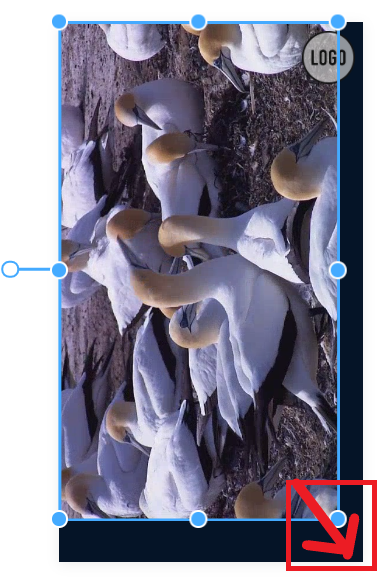 how-to-rotate-a-video-easily-on-windows-mac-and-phone